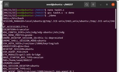Environment Variable And Set Uid Program Lab Anubis的小窝