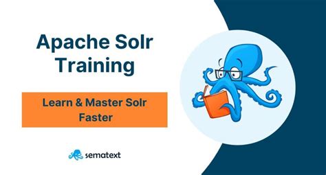 otis gospodnetić on linkedin apache solr training online courses