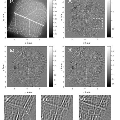 Simulation Results With Different Reconstruction Algorithms A The Download Scientific