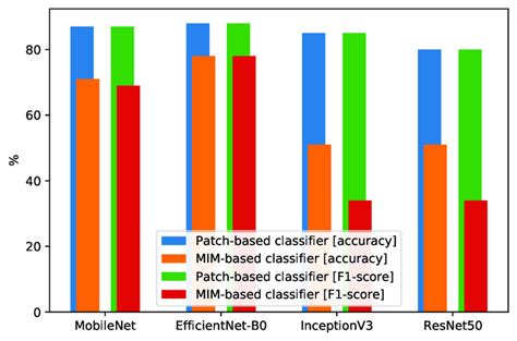 Comparison Between Mim Based Classifiers And Patch Based Classifiers