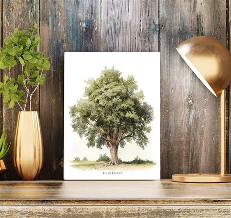 Walnut Tree Art