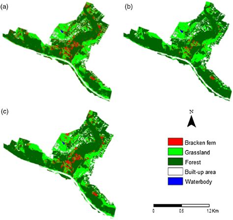 Classification Maps Obtained Using Random Forest Classification Download Scientific Diagram