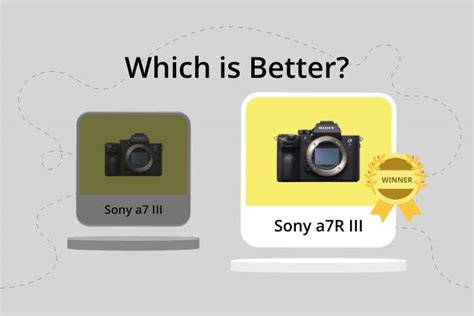 Sony A III Vs A R III Which Is Better In