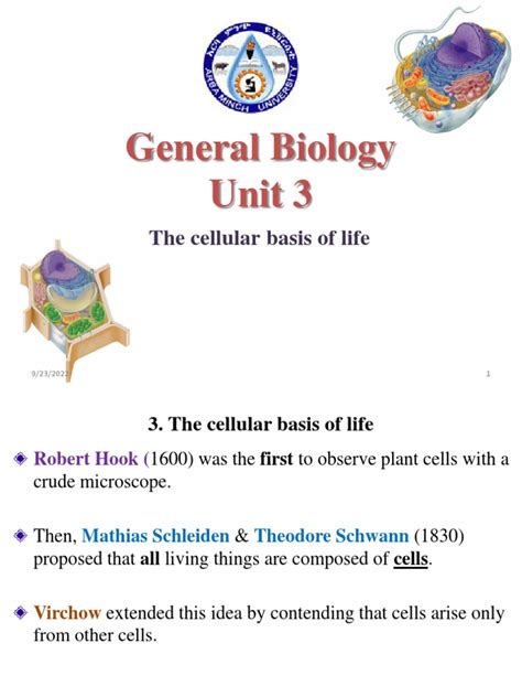 Unit 3 The Cellular Basis Of Life Pdf Cell Nucleus Cell Biology
