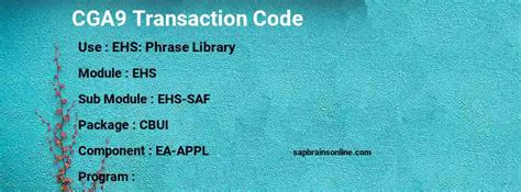 CGA9 SAP Tcode For EHS Phrase Library
