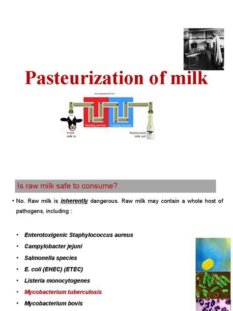 Difference Between Htst And Uht Pasteurization Techniques 46 Off
