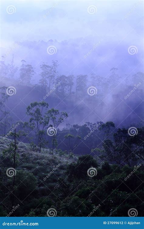 Misty Morning Scene Stock Photo Image Of India Blue