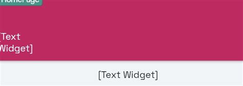 Text Widgets Not Displaying Correctly