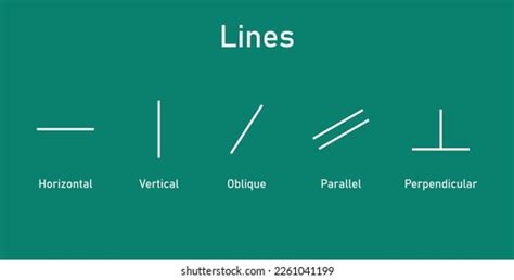 Types Lines Mathematics Horizontal Vertical Oblique Stock Vector