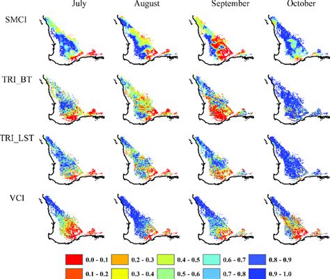 Demonstrates The Temporal Variability In Spatial Correlations Obtained Download Scientific