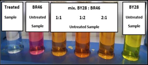 The Complete Decolorization Of Binary Dyes Mixture And Single Dye Download Scientific Diagram