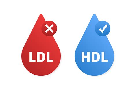 Hdl Ldl 어떤 목적 든지를위한 훌륭한 디자인 의료 인포그래픽 좋은 콜레스테롤 건강과 의료 개념입니다 벡터 그림 0명에 대한 스톡 벡터 아트 및 기타 이미지 Istock