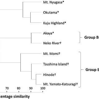 Dendrogram Derived From Cluster Analysis Applying The Ward Method