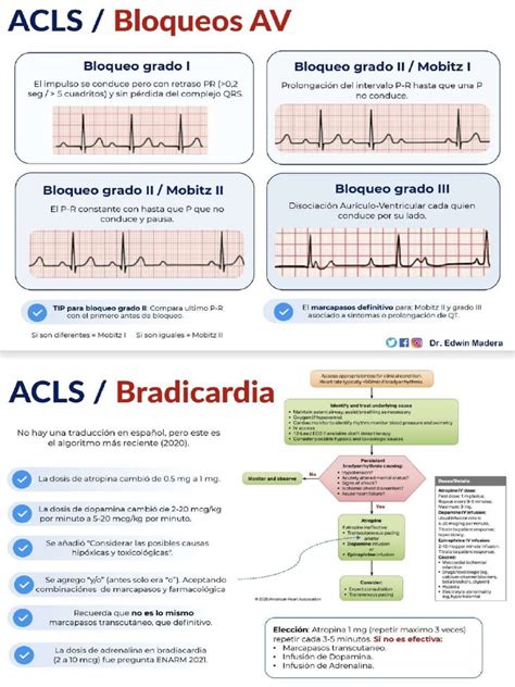 flashcards acls pdf