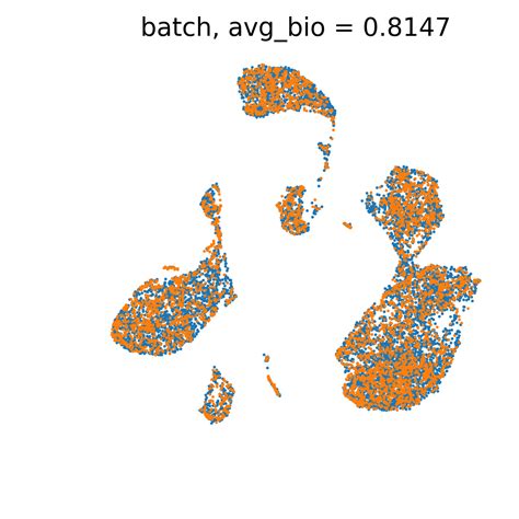 scgpt run finetune integration py scgpt weights and biases