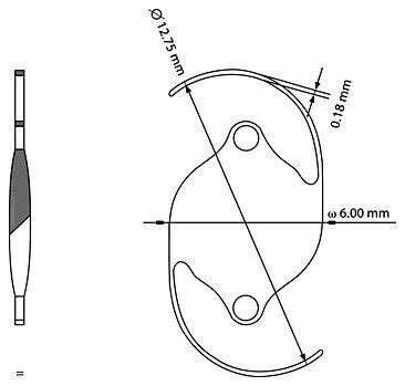 Schematic Representation Of The IOL DDS Download Scientific Diagram