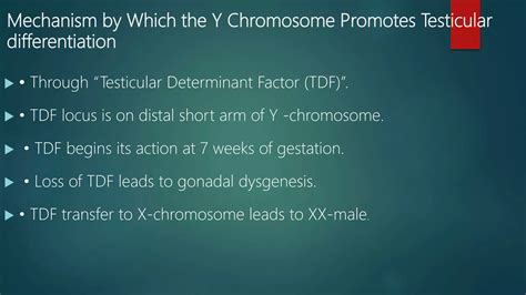 Disorders Of Sex Differentationpptx Disorders Of Sex Differentationpptx