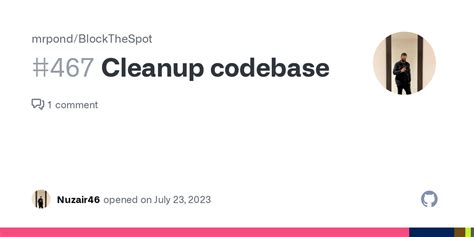 Cleanup Codebase Issue Mrpond BlockTheSpot GitHub
