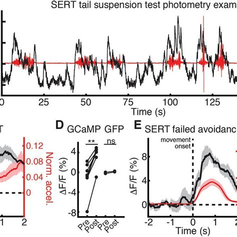 Drn 5 Ht Neural Activity Increases Upon Movement In High Threat Download Scientific Diagram