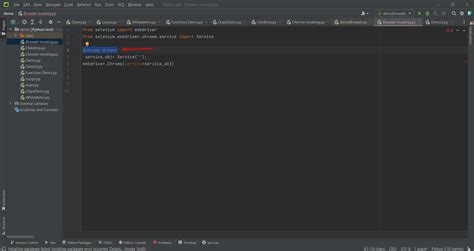 selenium python invoke chrome browser and load site to automate