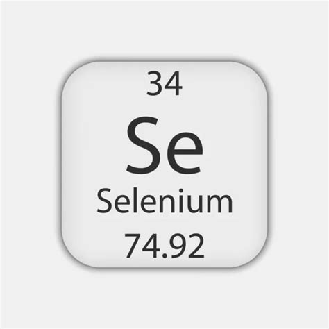 21534099 Selenium Tone Vector Images Depositphotos