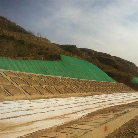 三维植被网生态袋植物纤维毯山东肥城联谊工程塑料有限公司