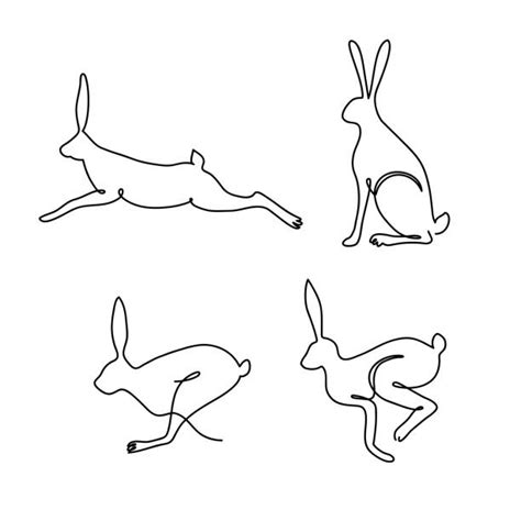 Hare Jumping Illustrations Royalty Free Vector Graphics And Clip Art