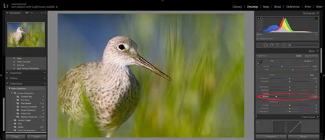 17 Lightroom Editing Secrets To Take Your Photos To The Next Level Contrastly