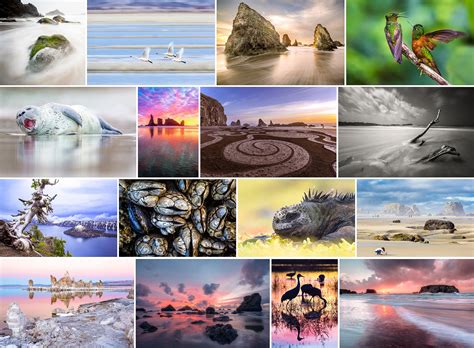 Homepage Susan Dimock Photography