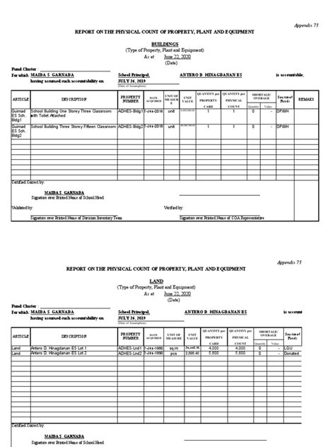 Aaa Rpcppe And Rpci For School Heads Sample Entry Pdf Laptop Personal Computers