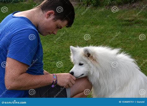 Teenage Boy And His Samoyed Stock Image Image Of Chain Dear 154689751