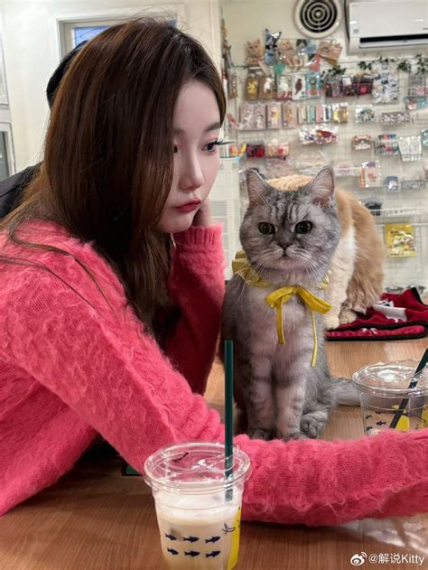 Lpl 키티 누나가 부산에서 먹은 음식  롤 리그 오브 레전드 에펨코리아