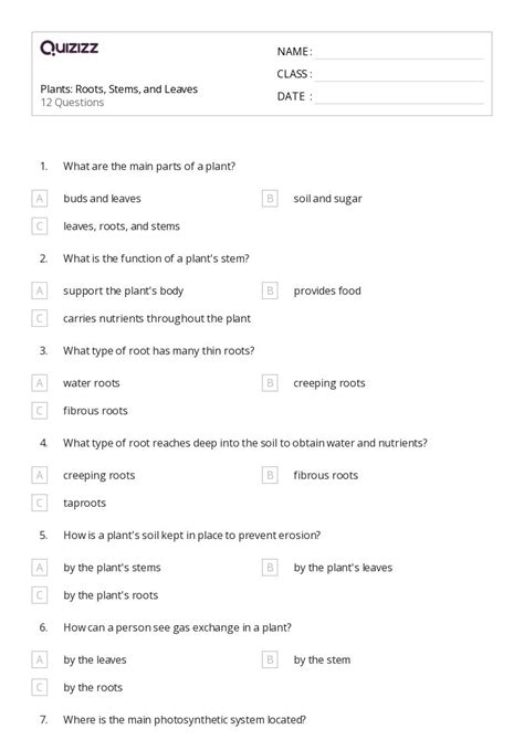 50 Roots Worksheets For 4th Year On Quizizz Free And Printable