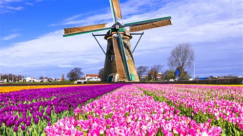 Windmill Netherlands Wallpapers Wallpaper Cave