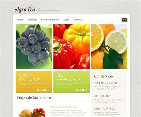 Free Flash Animated Template Flash Animated Website Template