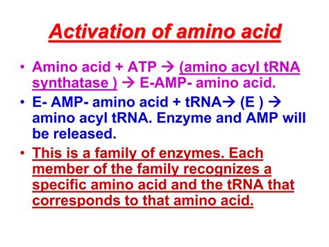 Lecture 6 Protein Synthesisppt Programming Languages Computing