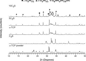 Compressive strength of the α TCP α TCP C3S composites after soaking in Download Scientific
