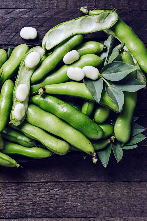 Why Faba Bean Nude Plant Protein