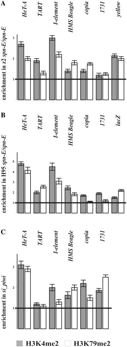The Level Of Transcriptionally Active Chromatin Marks Increases At The