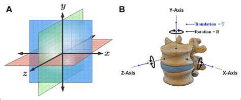 Cartesian Coordinate System And Conceptual Fame For Spinal Download Scientific Diagram