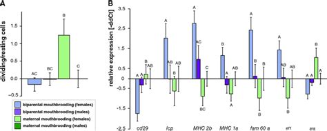 Interactive Effects Of Sex And Brooding Mode On Cell Activity And Download Scientific Diagram