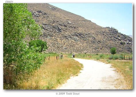 Pseudocopaeodes E Eunus Habitats Pseudocopaeodes E Eunus Habitats