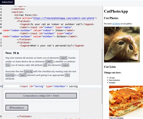 Step 56paso 56 Cat Photo Html Css The Freecodecamp Forum