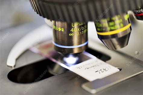Light Microscope Use Stock Image C047 7202 Science Photo Library