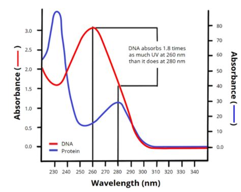 Micr 290 Module 61 62 63 Uv Absorbance And Colourimetric Protein