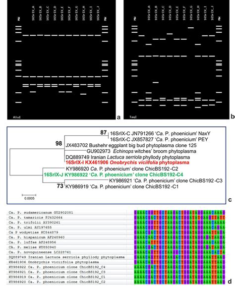 in a and b computersimulated virtual rflp patterns derived from in