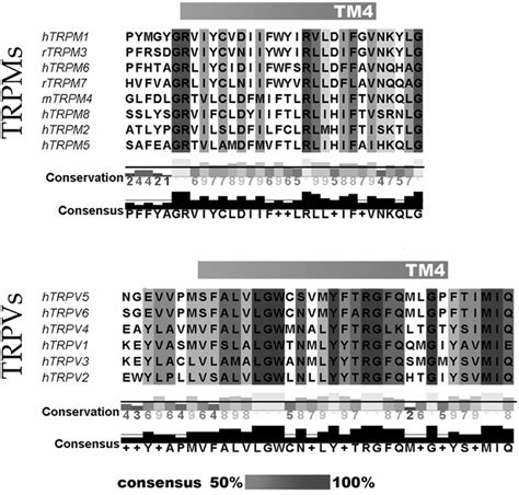Structurefunctional Intimacies Of Transient Receptor Potential