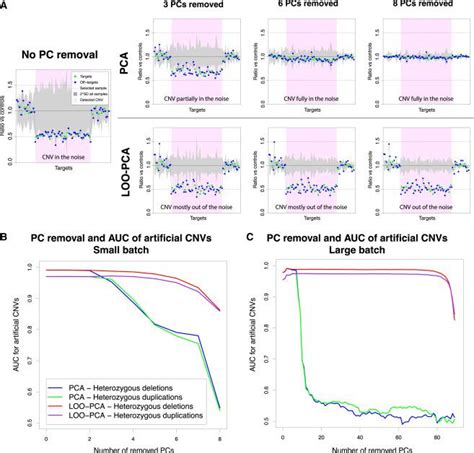 Detection Of Elusive Dna Copy Number Variations In Hereditary Disease And Cancer Through The Use