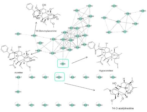 Author Spotlight Integrating D HPLC MS And Molecular Networking In Natural Medicine Analysis
