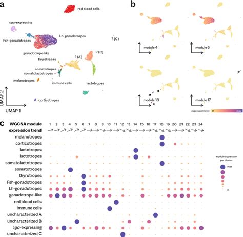 Integra On Of Expression Modules With Single Cell Rna Seq Data A In